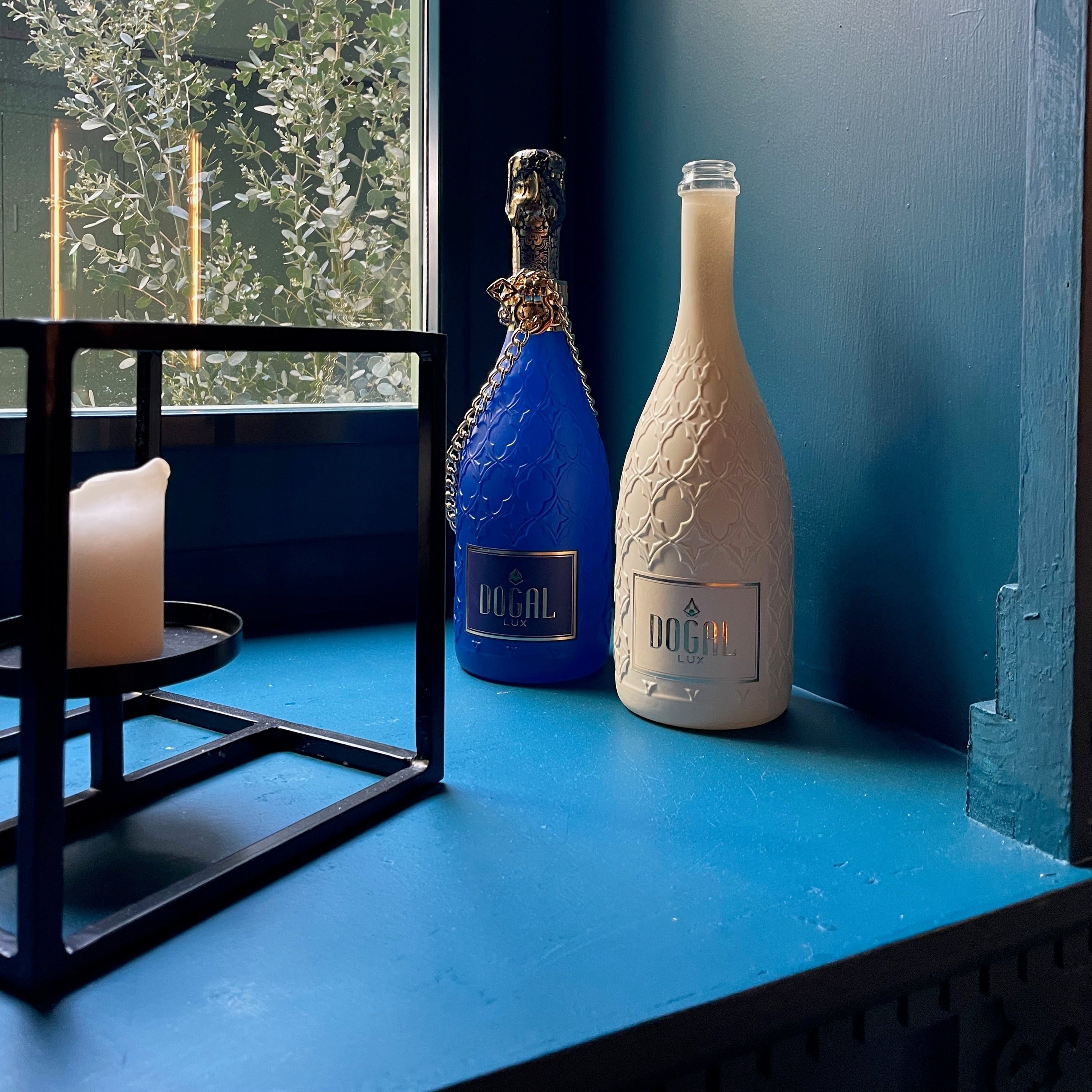 CUSTOM 3-PACK "DISCOVER DOGAL"