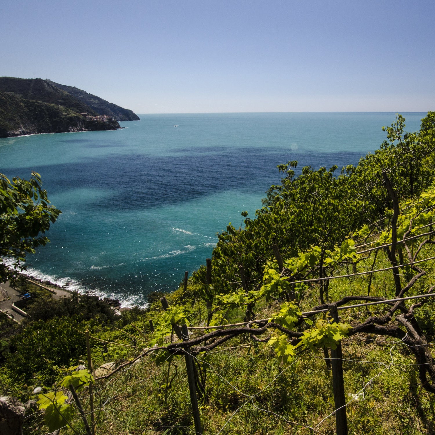 Dogal Venezia | Premium Sparkling Wines Crafted in Italy – DOGAL